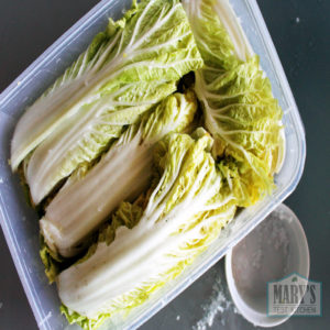salting-napa-cabbage-for-kimchi – Mary's Test Kitchen
