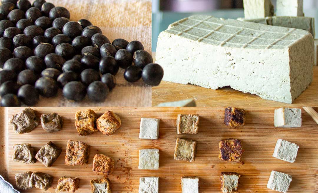 Black Soybean Tofu (the black bean tofu that works!) – Mary's Test Kitchen