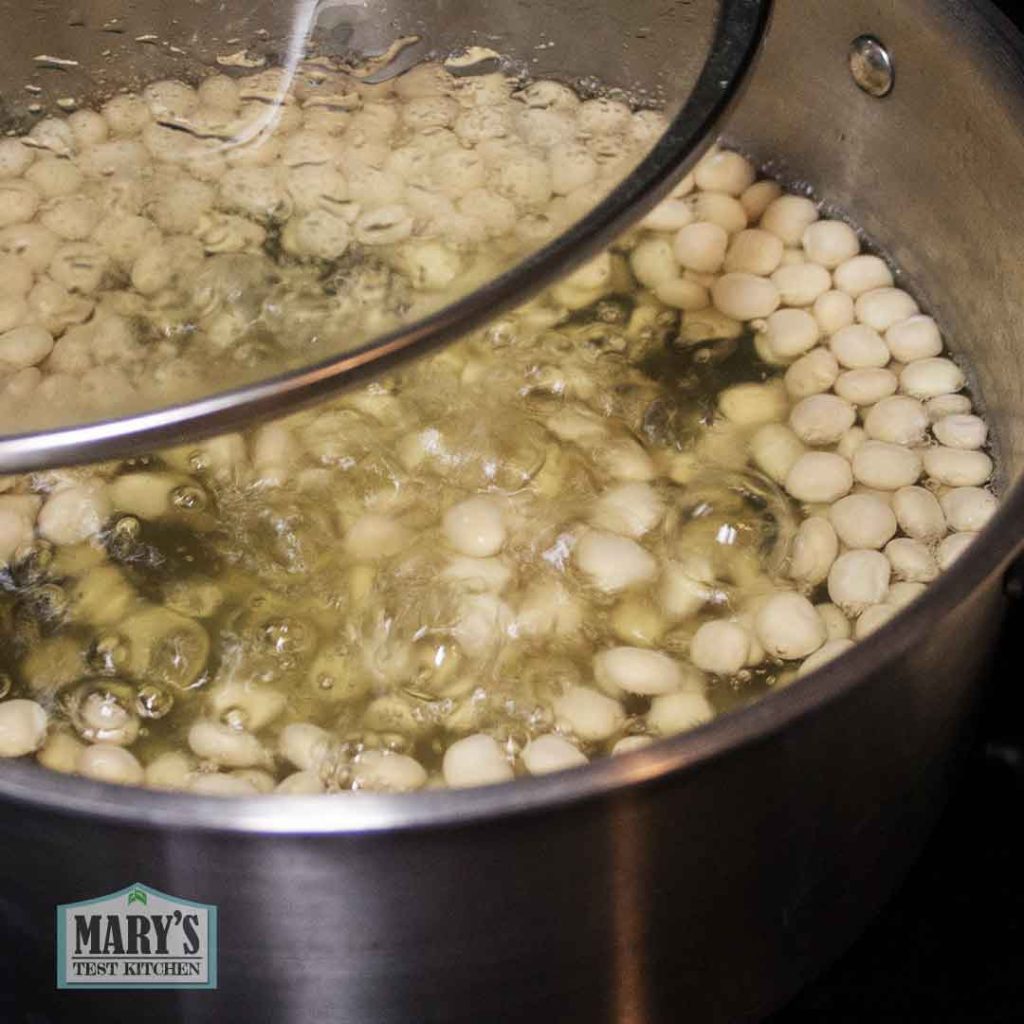 Lupini Beans | How to Cook from Dried Beans – Mary's Test Kitchen