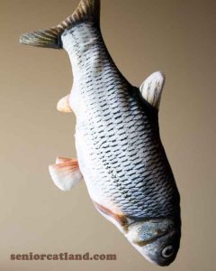 Floppy Fish Toy Review – Mary's Test Kitchen