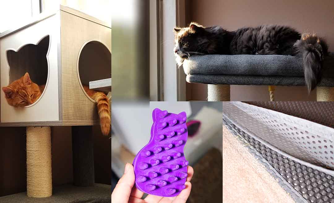 Must-Have Cat Supplies for Senior Cats: Essentials They Can’t Live ...