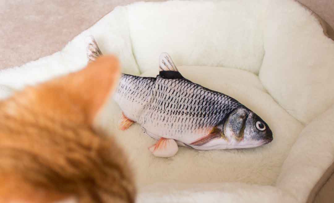 Floppy Fish Toy Assessment – Mary's Check Kitchen - Street Food Spectacle