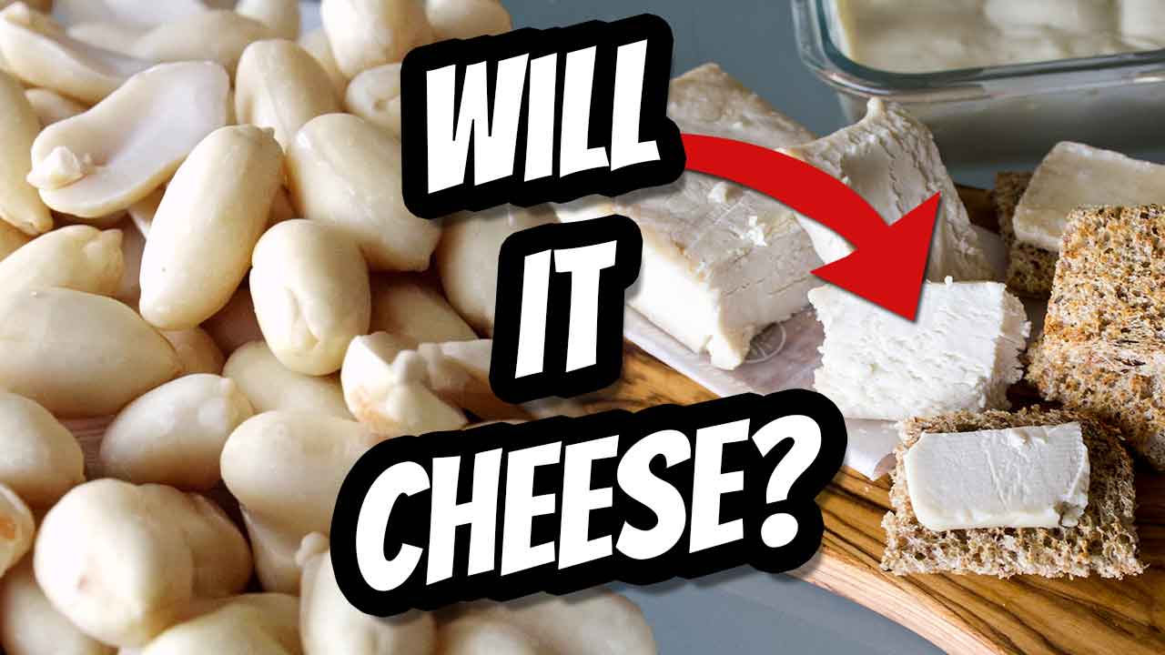 NEW SERIES: Will it Cheese?! Starting with the AFFORDABLE – Mary's Test ...