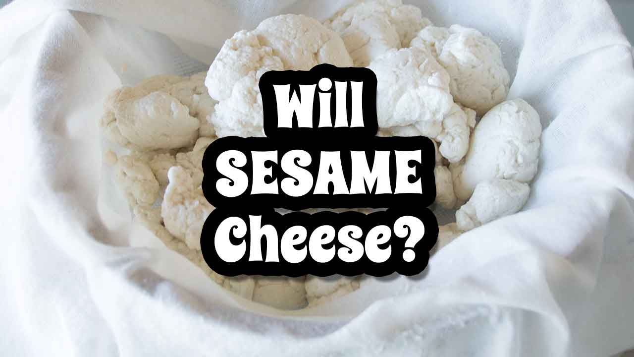 Will Sesame Cheese? – Mary's Test Kitchen