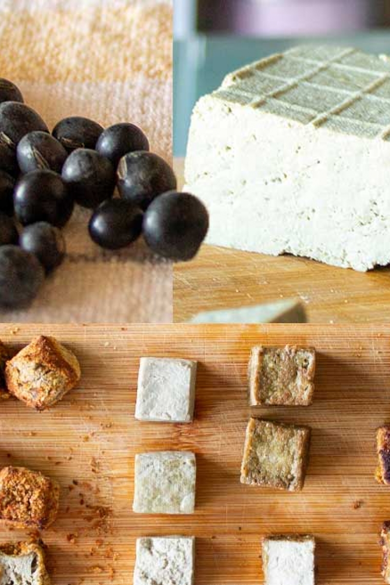 Plant-based Protein (Meat Alternatives) – Mary's Test Kitchen